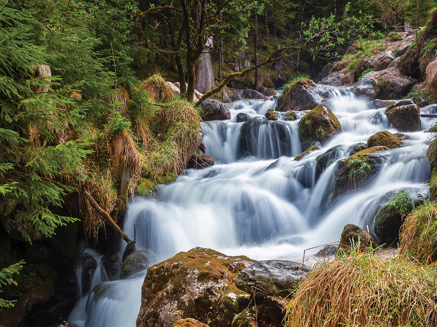 Uncovering Creation Mysteries | The Institute for Creation Research